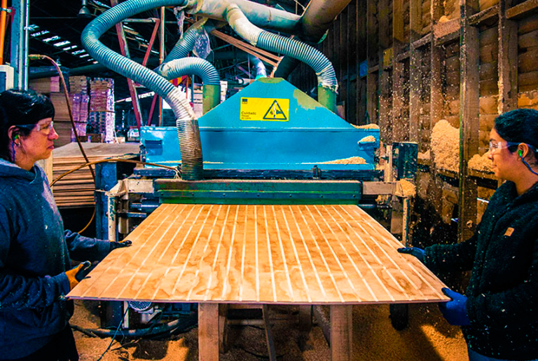 Tableros Contrachapados - Maderas Prosperidad